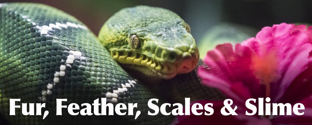 Education Tours | Potter Park Zoo