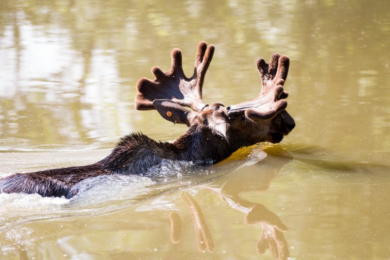 Animal Meet & Greets | Potter Park Zoo