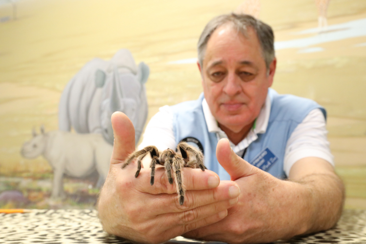 Potter Park Zoo Looking for Docent Applicants | Potter Park Zoo