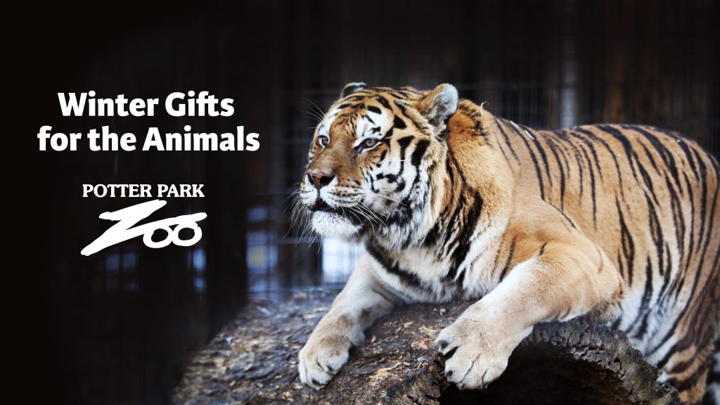 Winter Gifts for the Animals: An Animal Enrichment Event