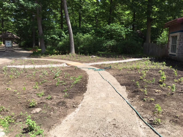 Pollinator Garden – We Have One and You Can Too! | Potter Park Zoo