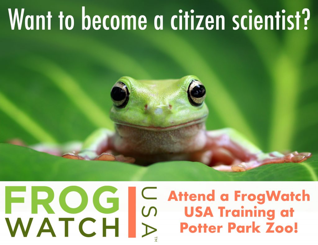 Become a Citizen Scientist: 2020 FrogWatch Training Sessions at Potter ...