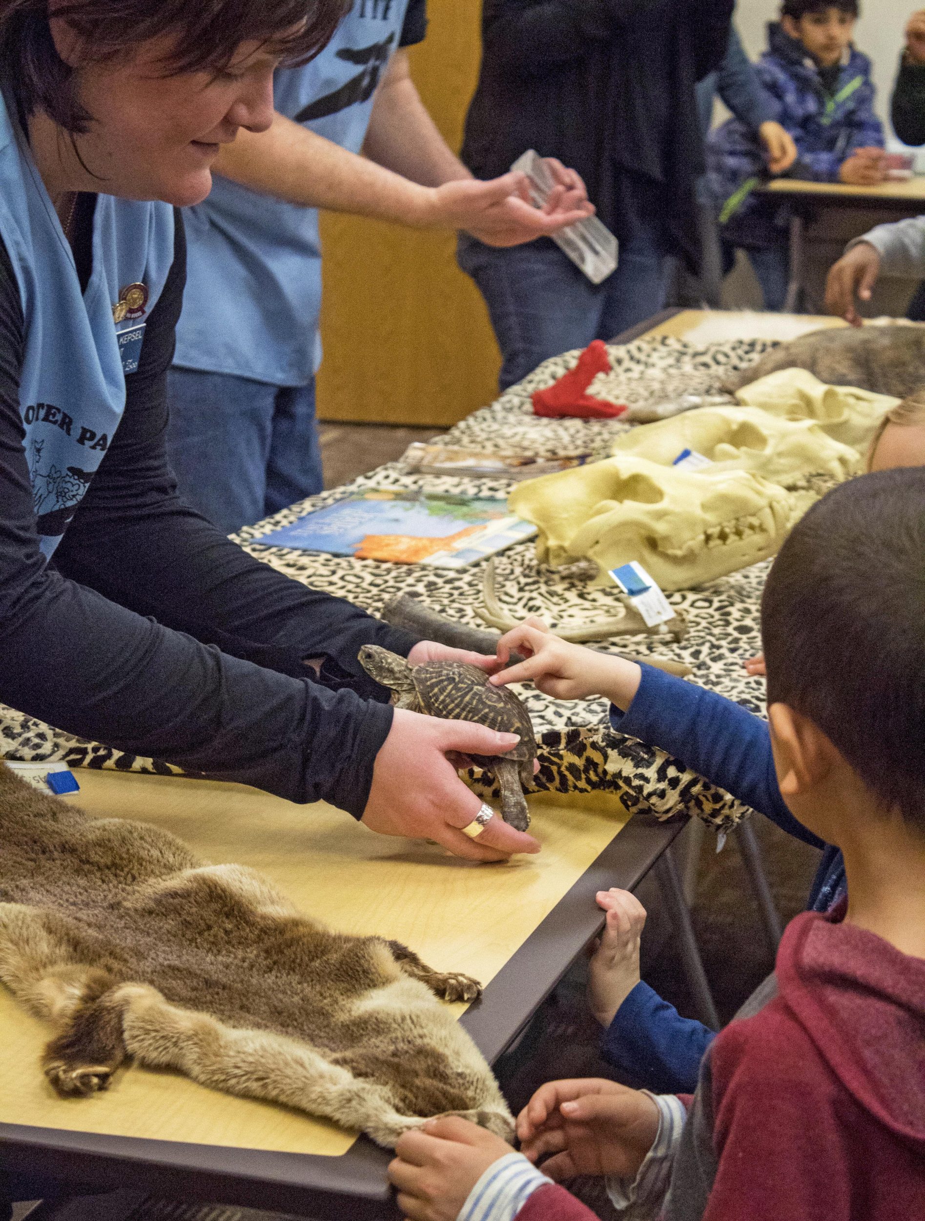 “Zoo in Your Neighborhood” Continues to Provide Free Programs to ...