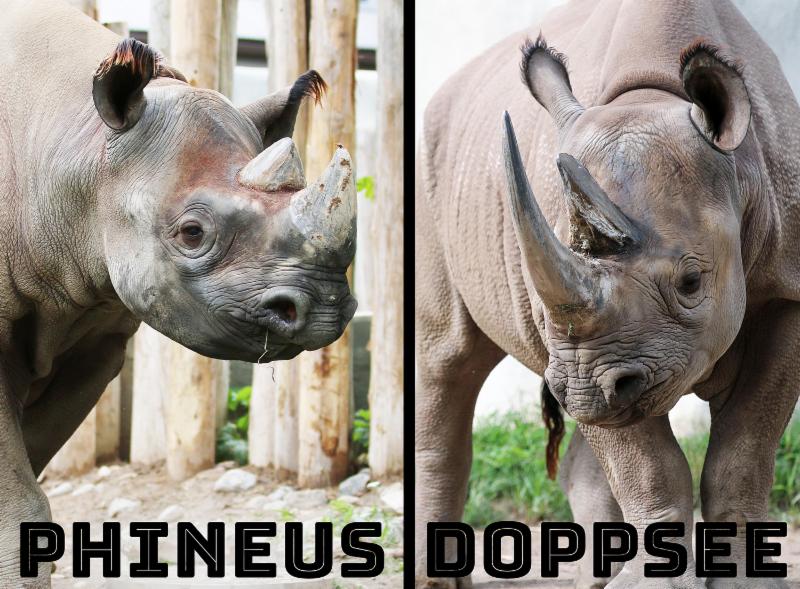 Meet the Parents! | Potter Park Zoo