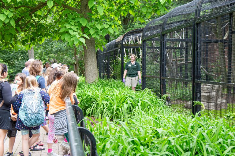 Attractions | Potter Park Zoo