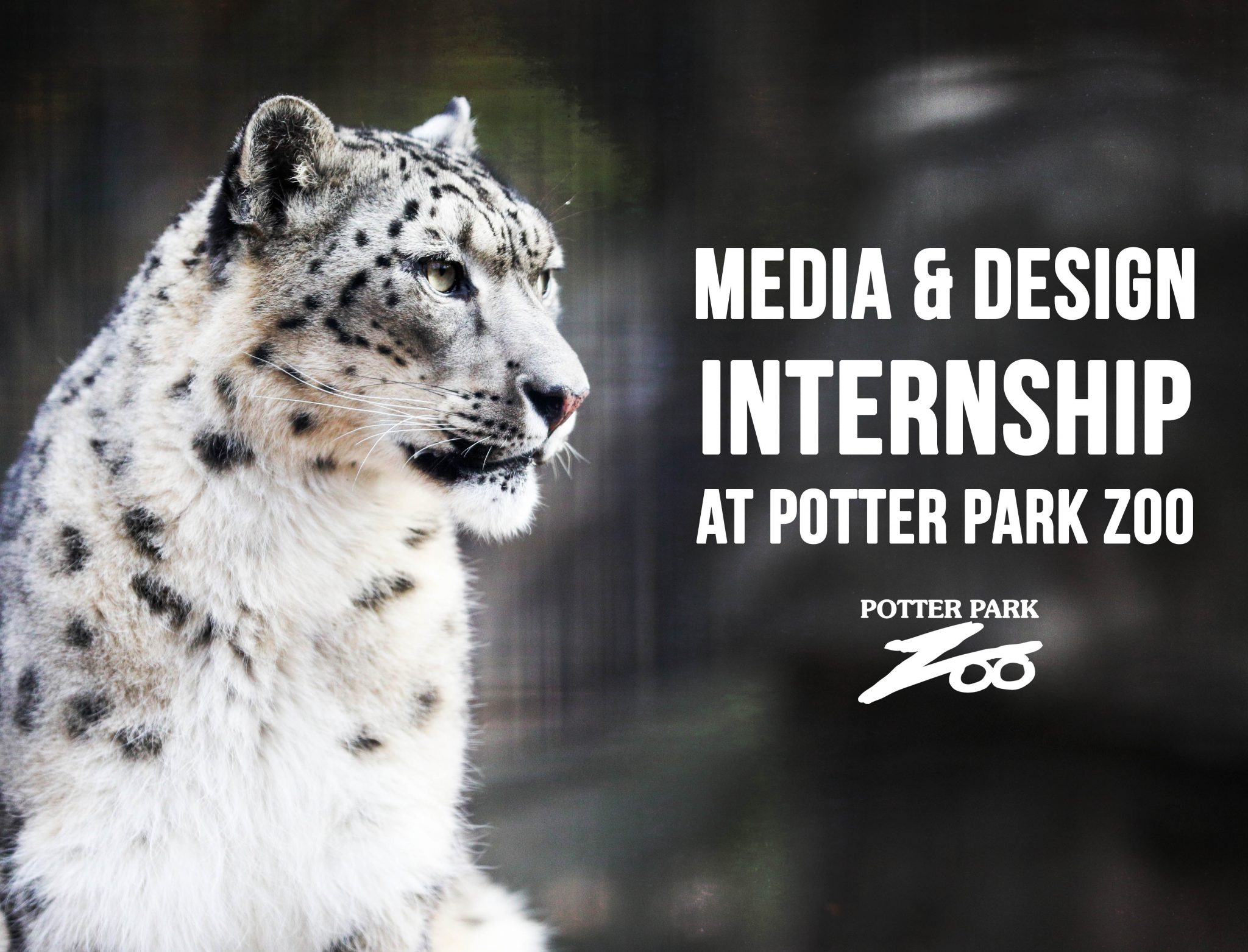 Internships | Potter Park Zoo
