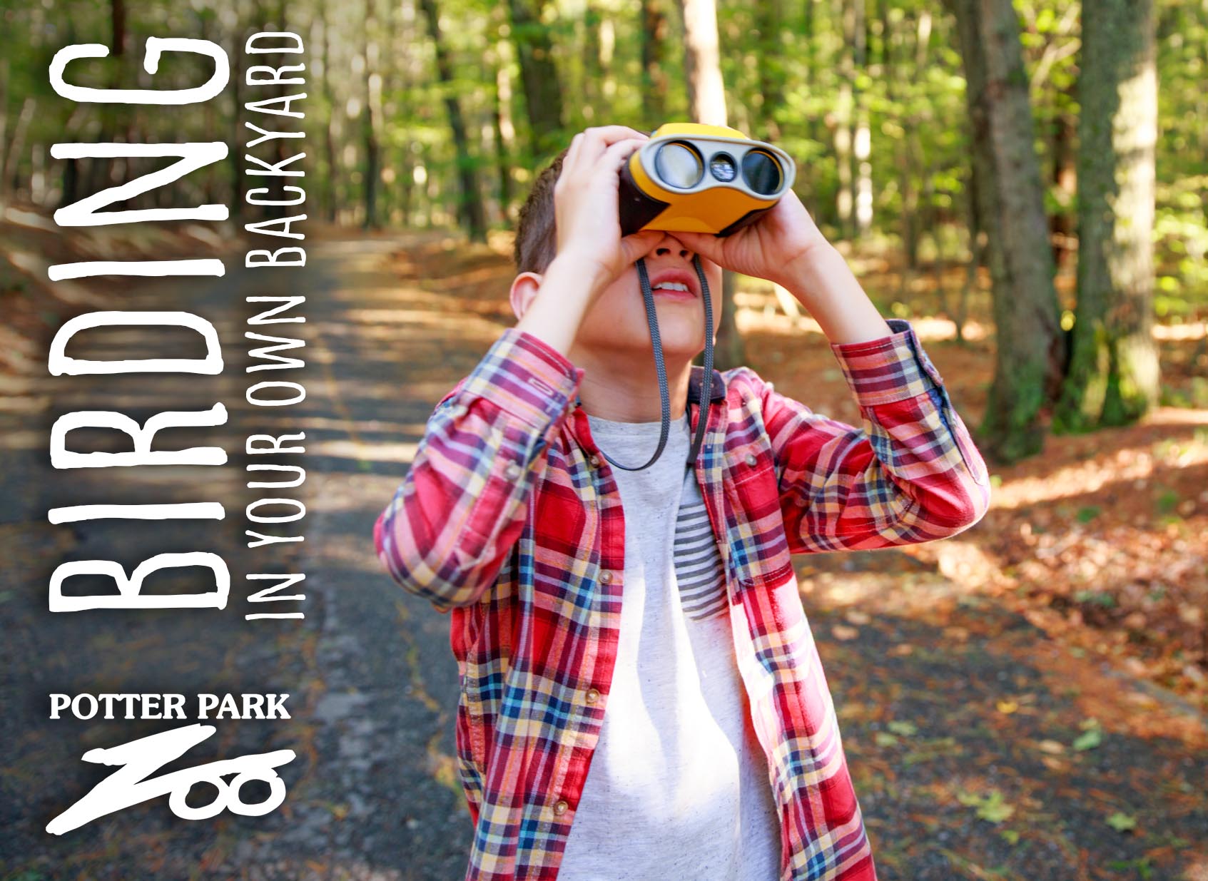 Birding Part 1: Become a Birder in Your Own Backyard | Potter Park Zoo