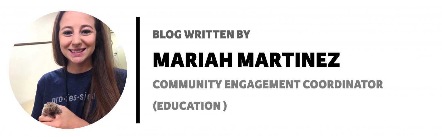 Potter Park Zoo Provides Braille Maps for Visitors | Potter Park Zoo