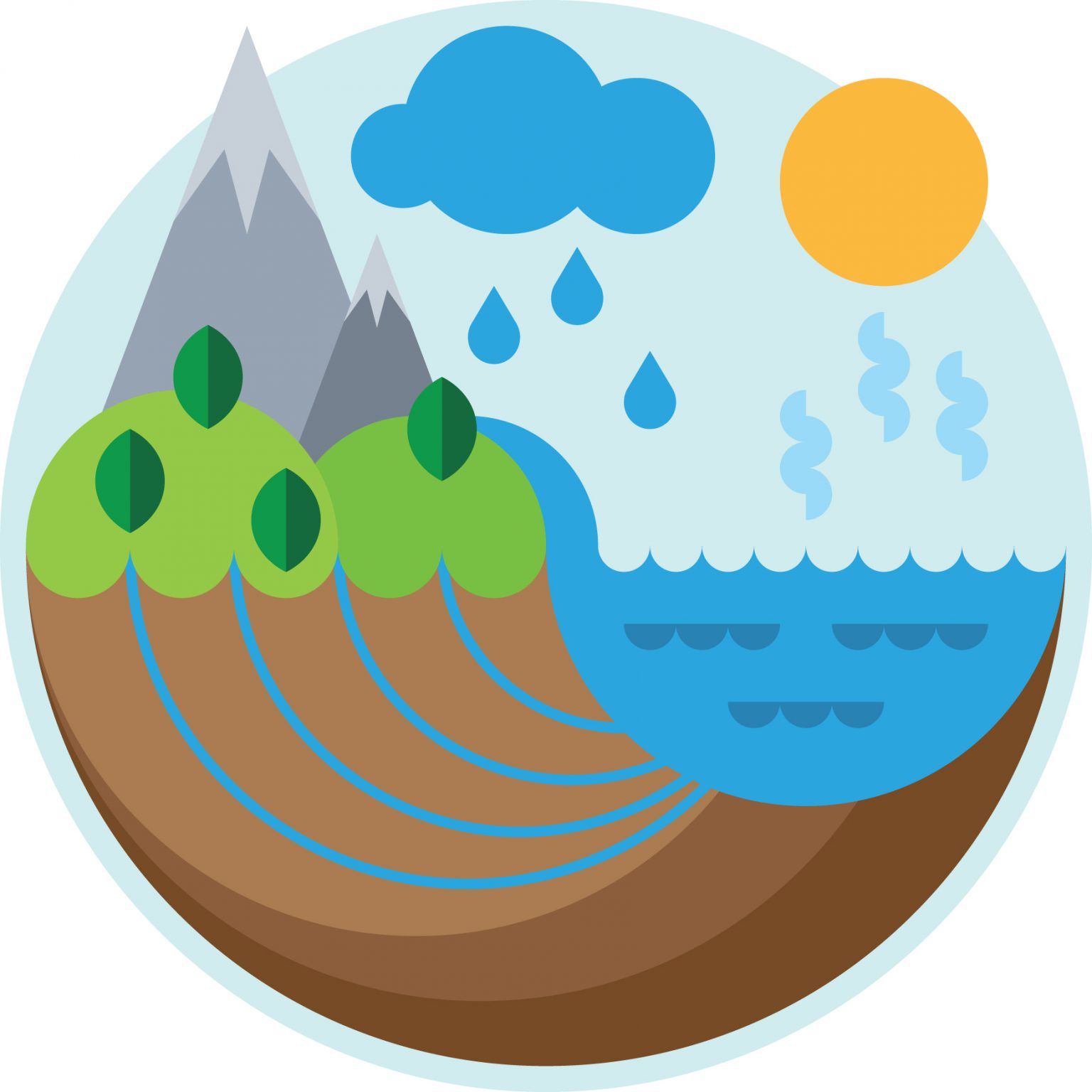 Activity: What is the Water Cycle? | Potter Park Zoo