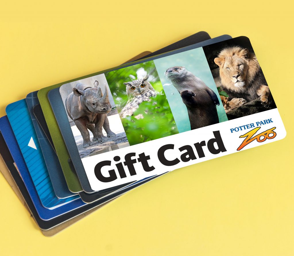 2020 Gift guide from Potter Park Zoo | Potter Park Zoo
