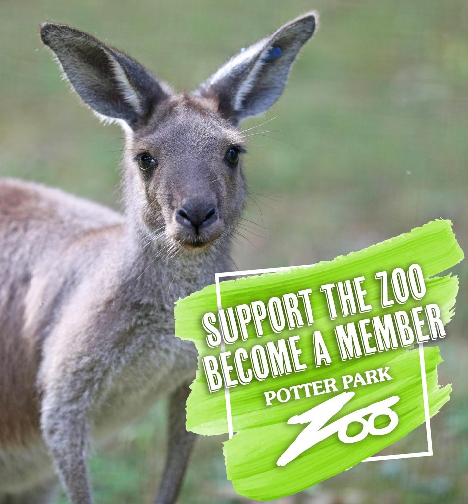 Membership | Potter Park Zoo