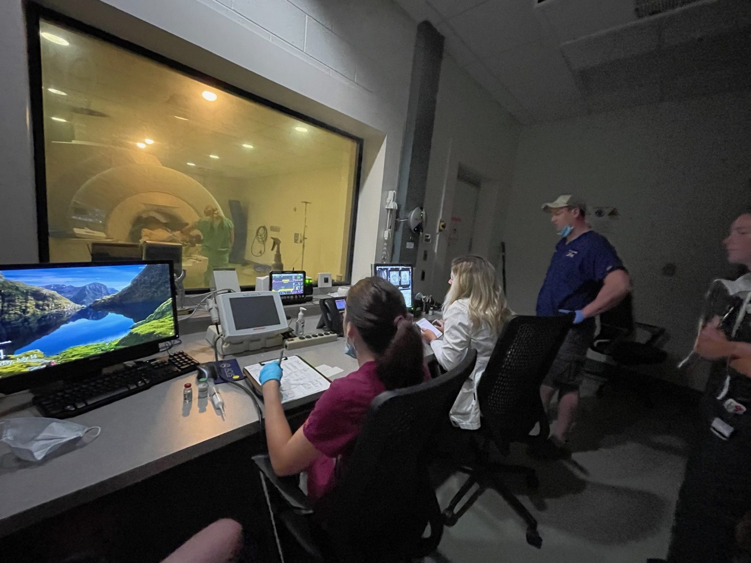 Potter Park Zoo geriatric female lion taken to Michigan State ...