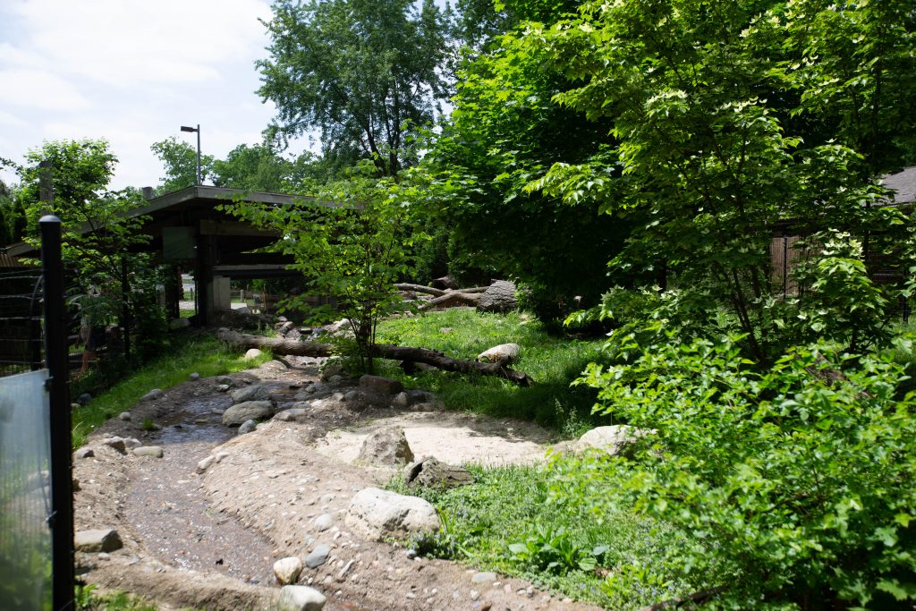 Throwback Thursday – River Otters at the Zoo | Potter Park Zoo
