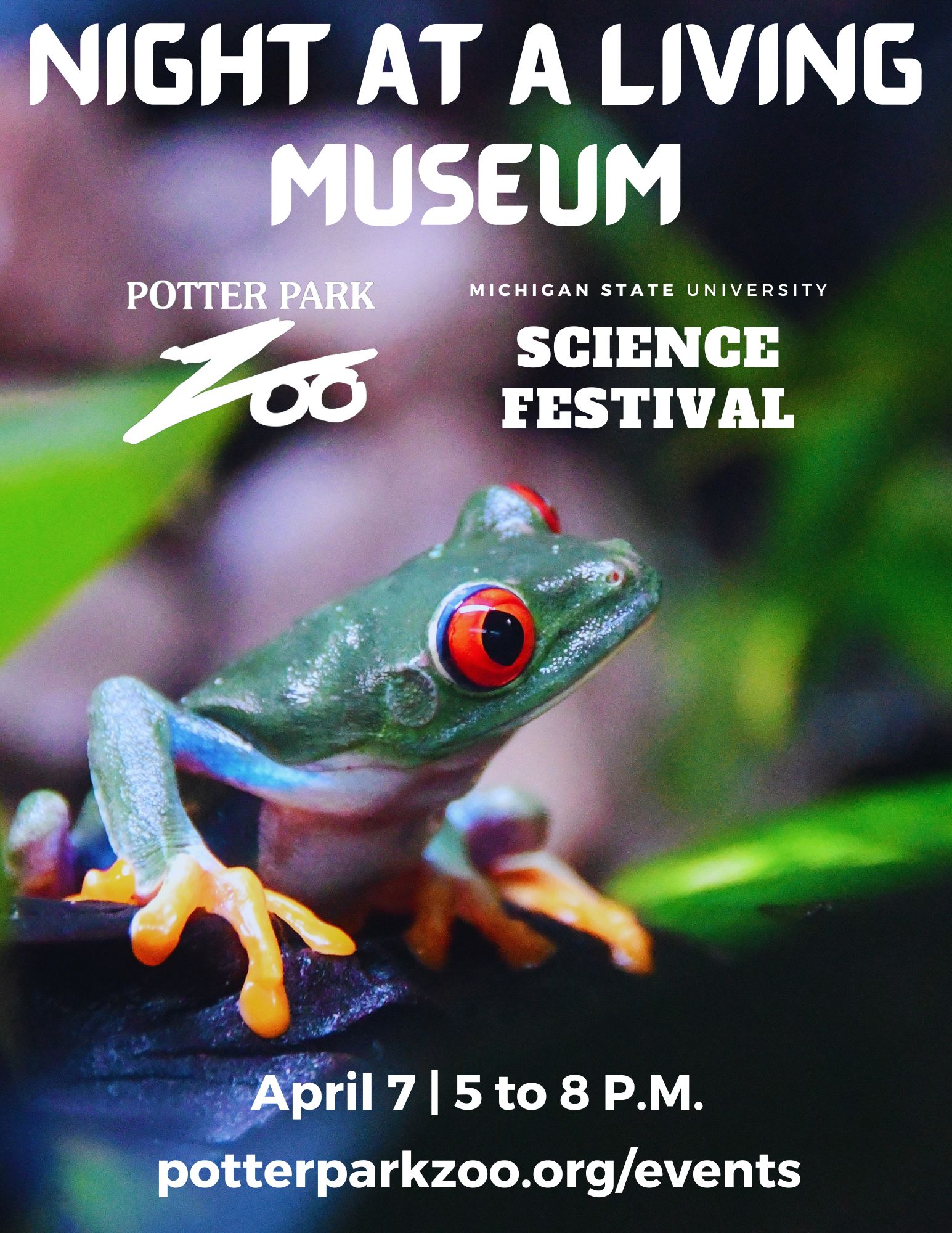 Night at a Living Museum