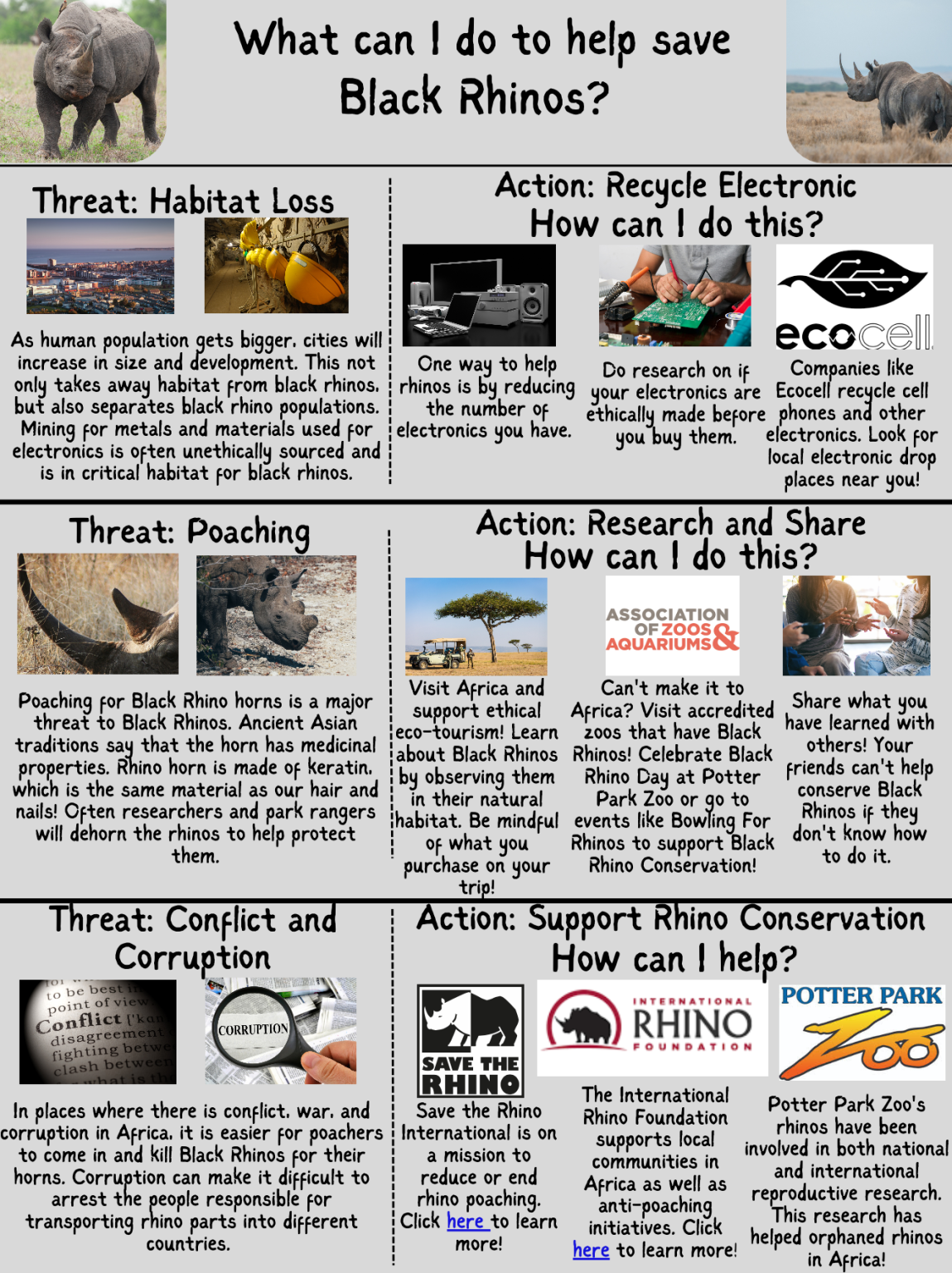 Black Rhino | Potter Park Zoo