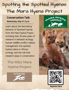 Spotting the Spotted Hyenas: The Mara Hyena Project