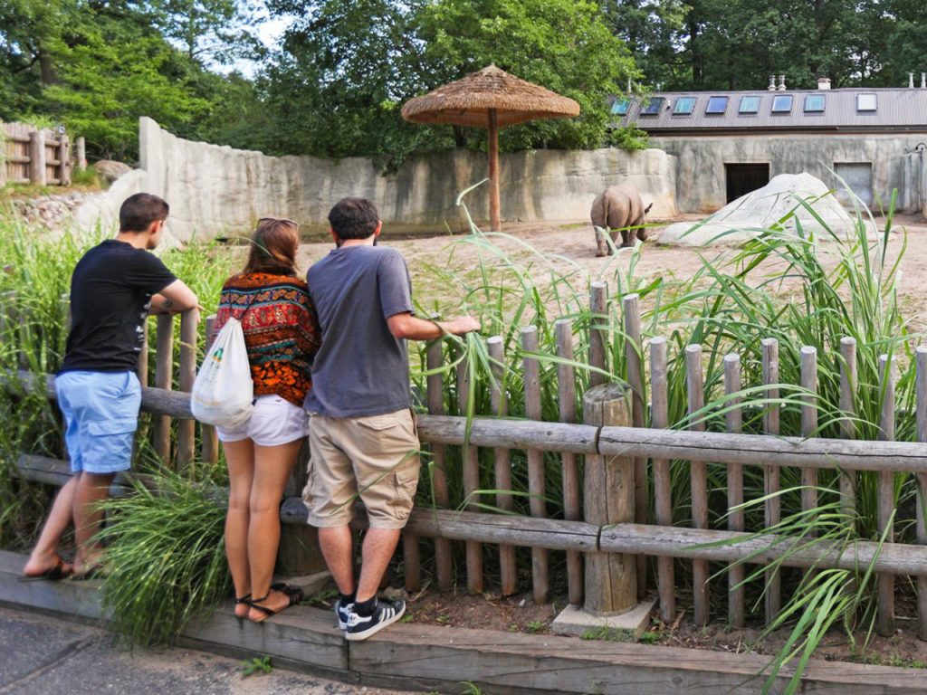 Event Sponsorship | Potter Park Zoo