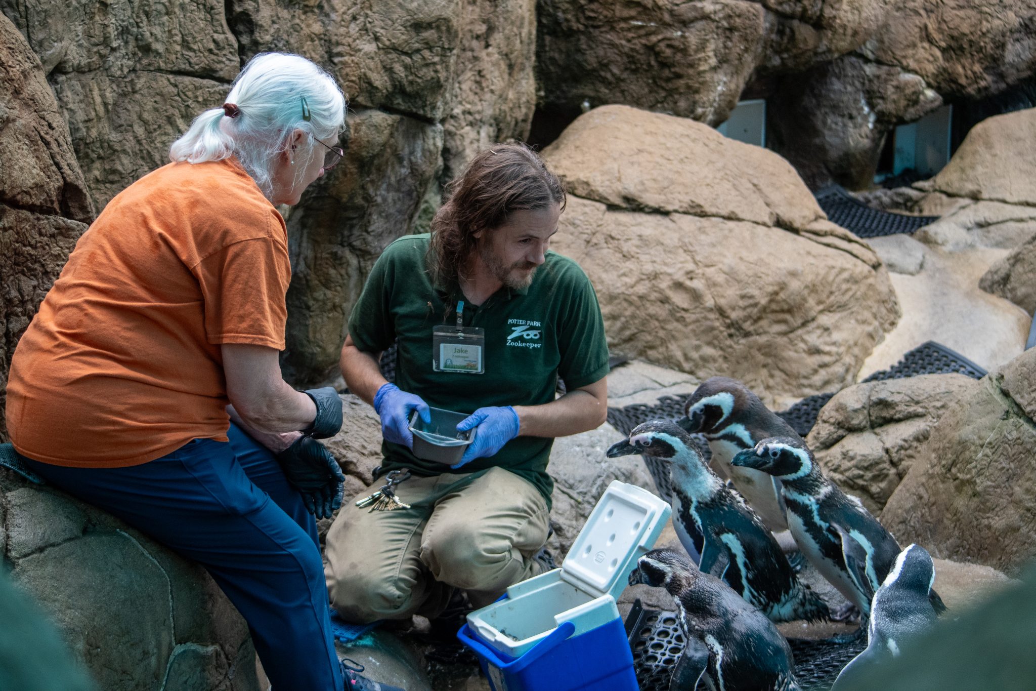 Animal Meet & Greets | Potter Park Zoo