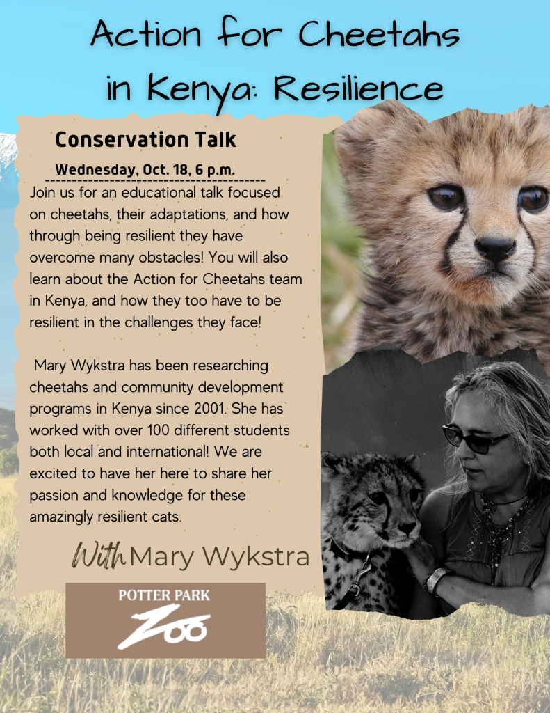 Action For Cheetahs Conservation Talk