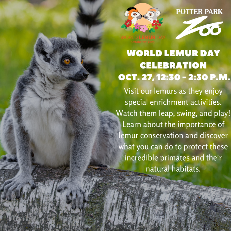 World Lemur Day Celebration
