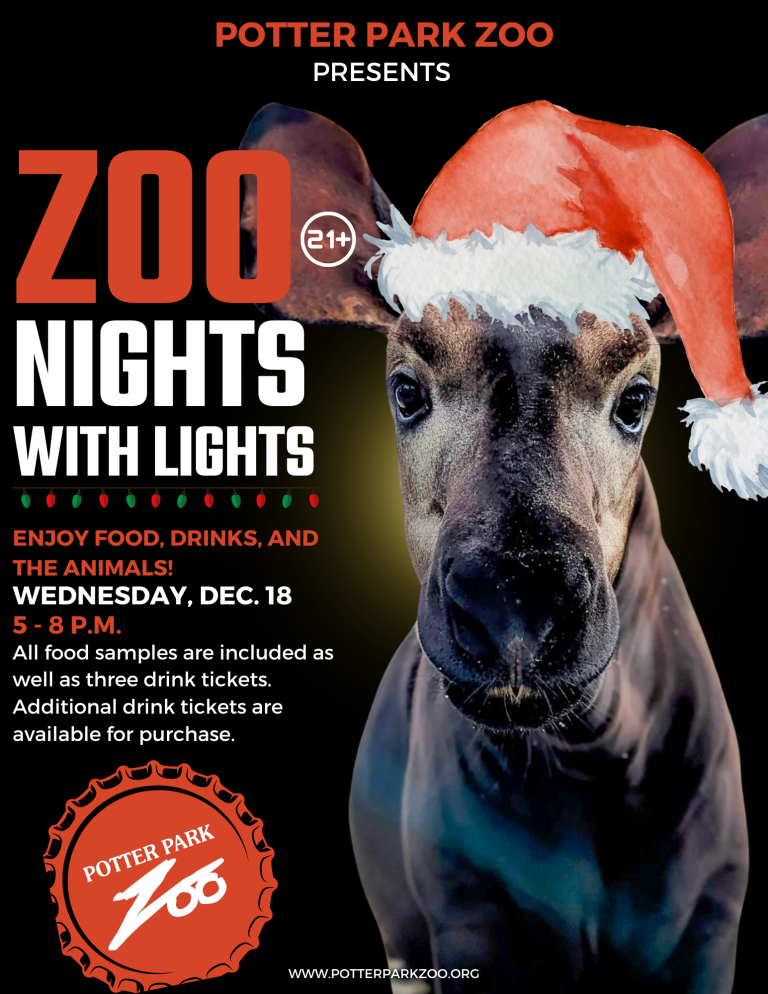 Zoo Nights, with Lights