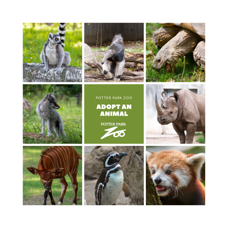 Potter Park Zoo Holiday Gift Guide: Gifts with a Purpose! | Potter Park Zoo