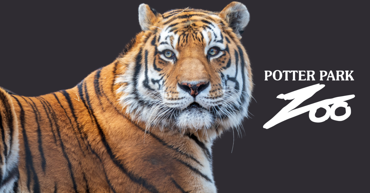 International Tiger Day Celebration