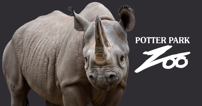 Events from September 15 - December 18Potter Park Zoo