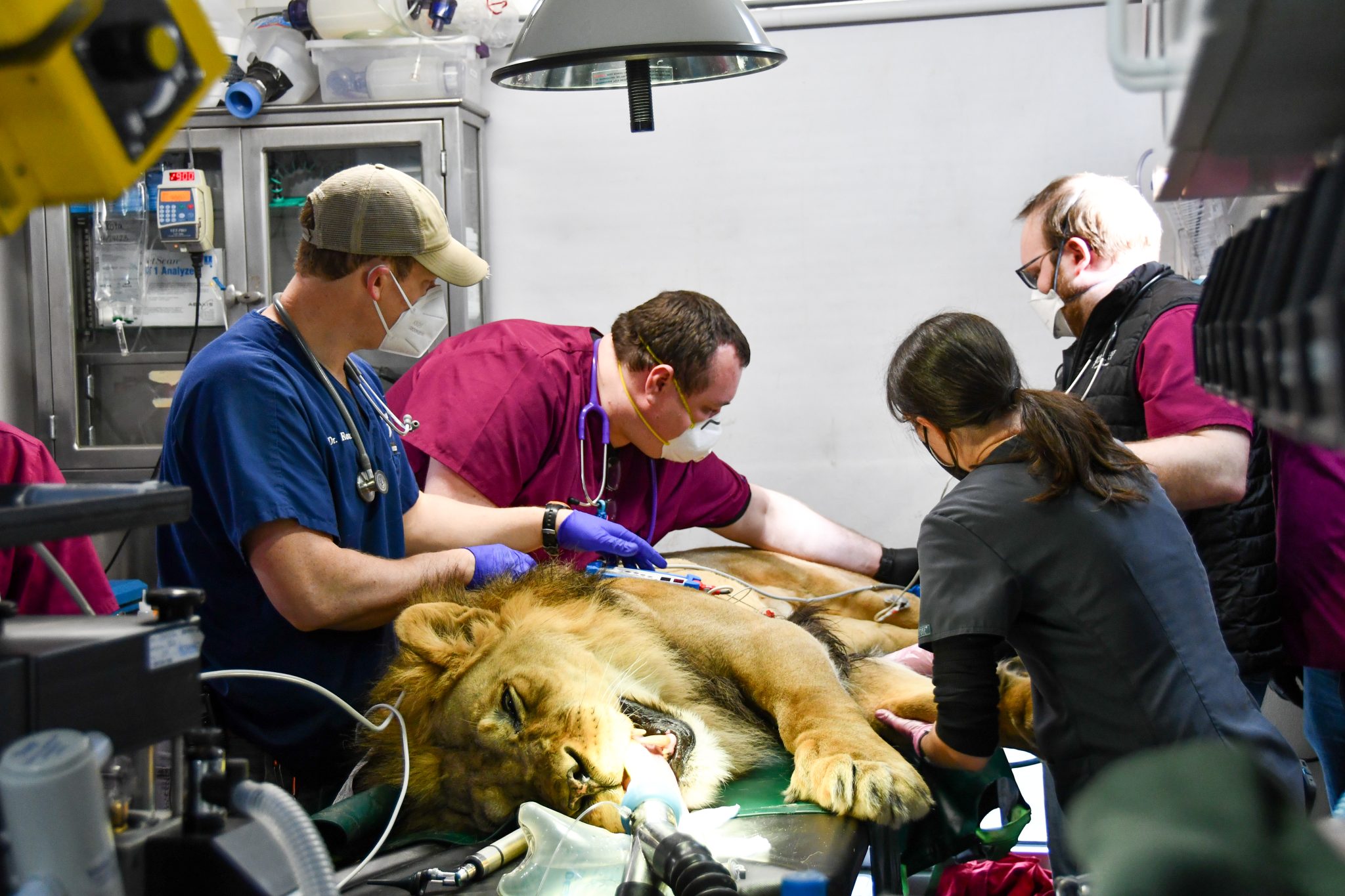 Groundbreaking for New Animal Health Facility at Potter Park Zoo ...