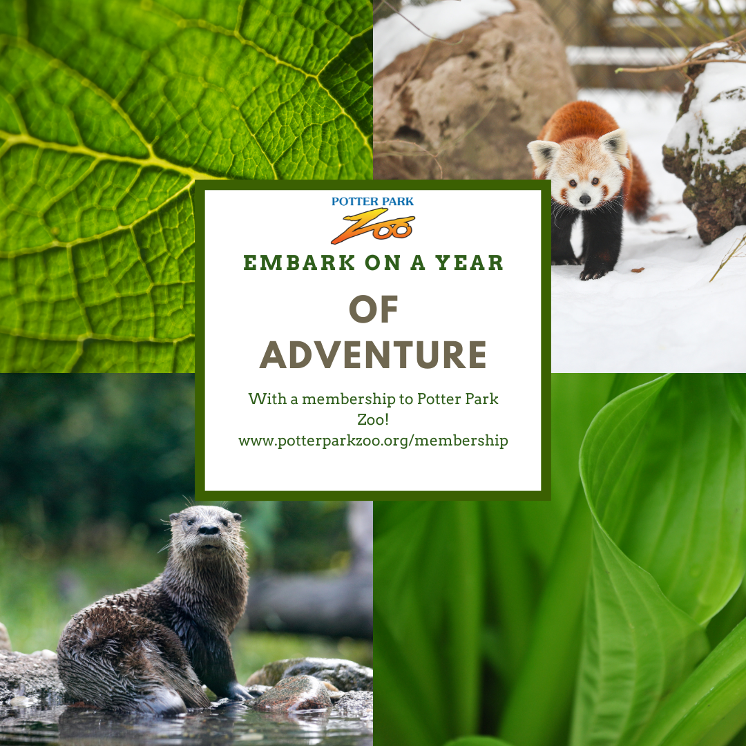 Potter Park Zoo Holiday Gift Guide | Potter Park Zoo