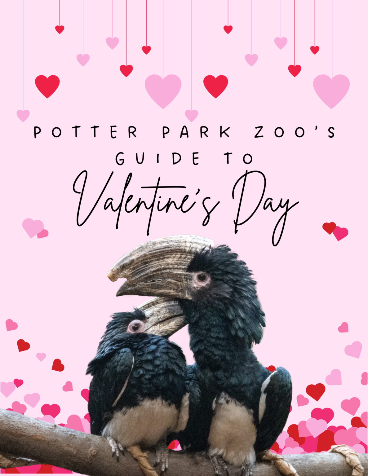 Potter Park Zoo’s Guide to a Wild Valentine’s Day! | Potter Park Zoo