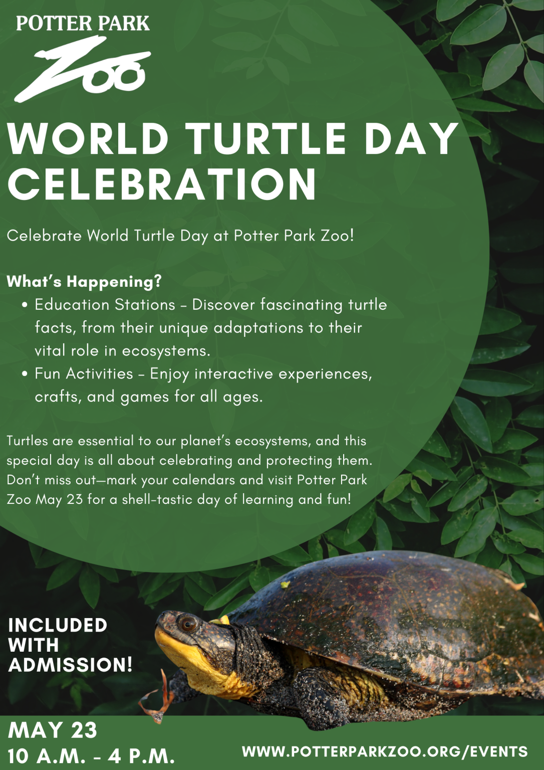 World Turtle Day Celebration