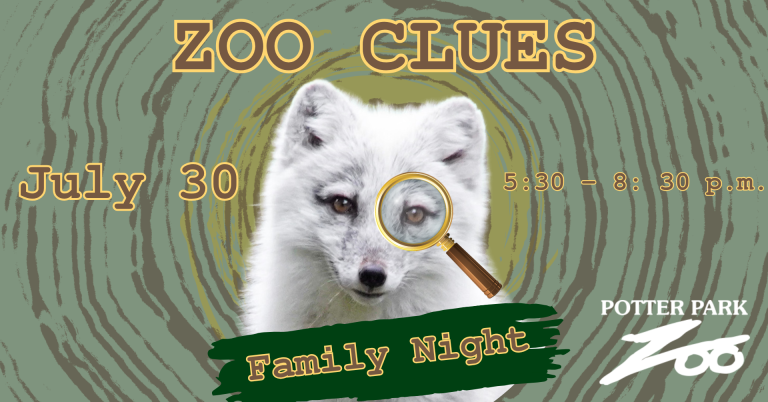 Zoo Clues – Family Night